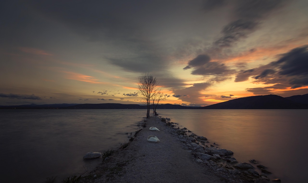 200,000+ Free Water Filter & Filter Images - Pixabay