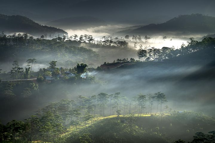 400+ Free Fresh Air & Nature Images