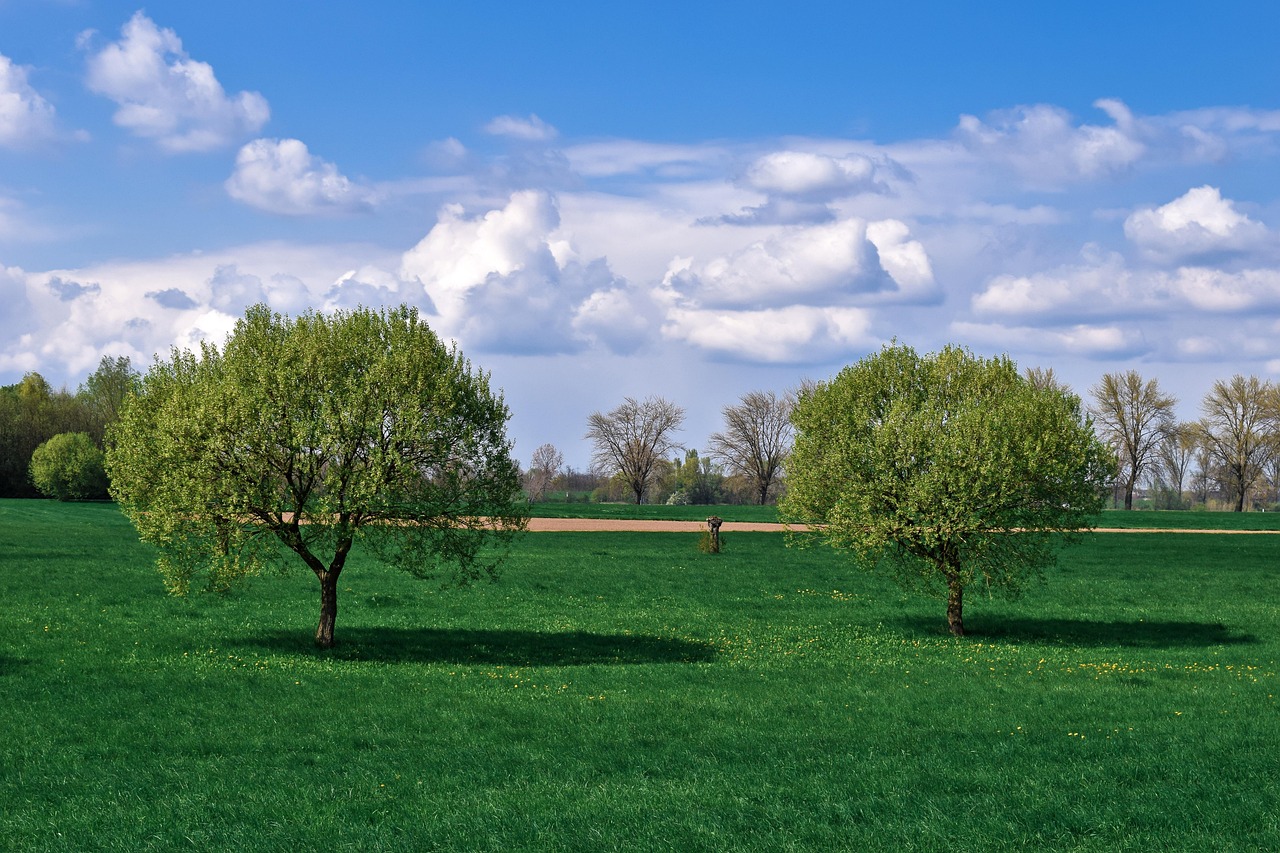 Landscape Outside Nature - Free photo on Pixabay