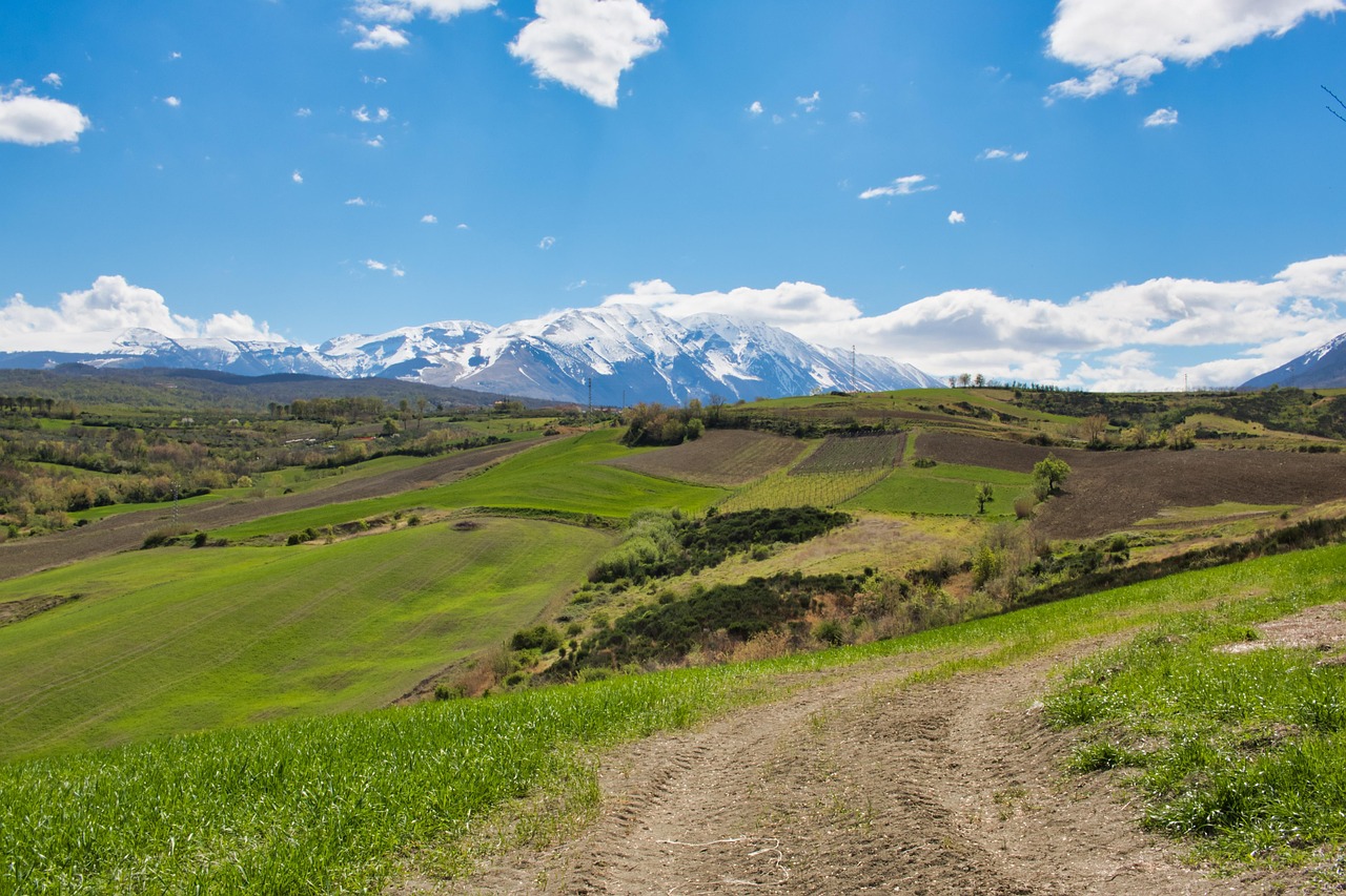 Panorama Green Nature - Free photo on Pixabay - Pixabay