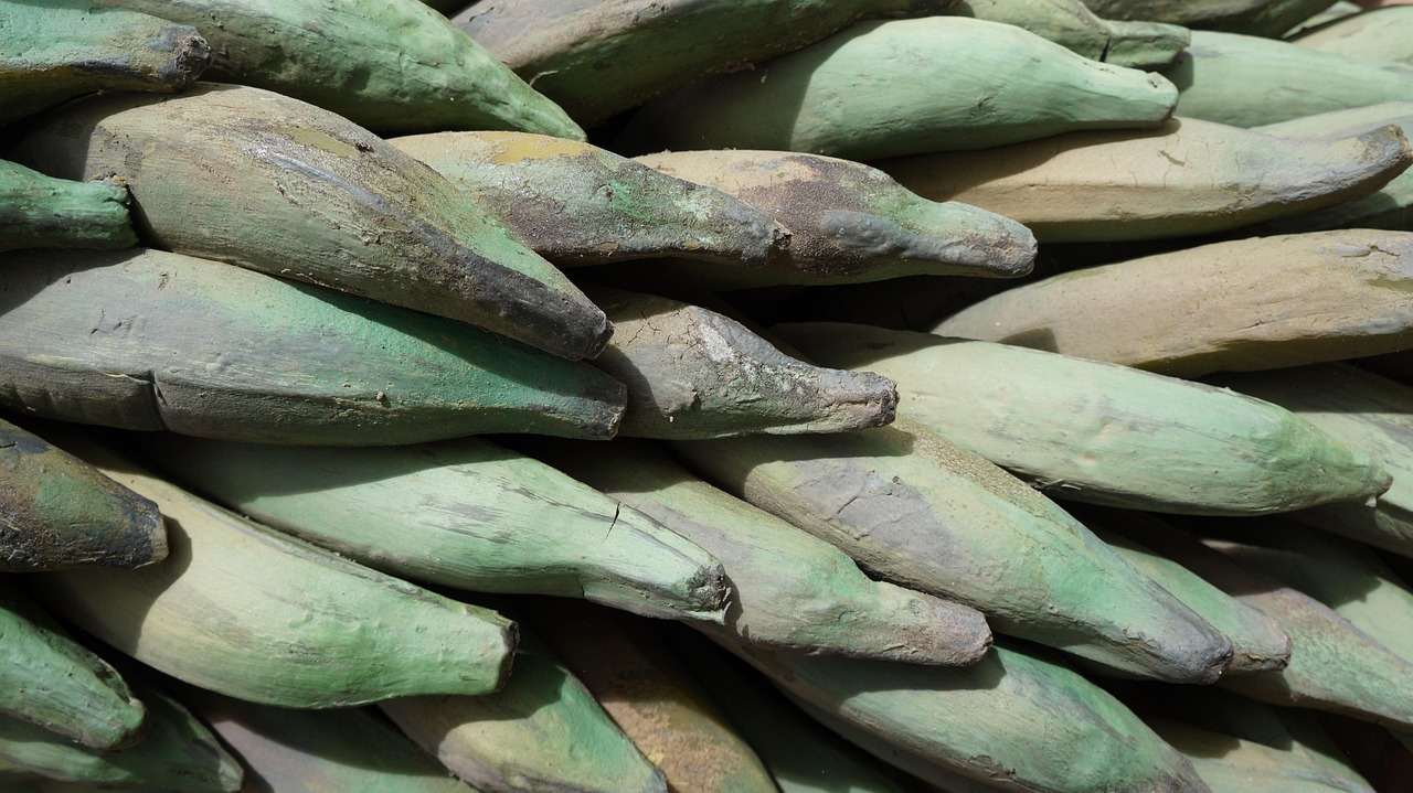 Más de 400 imágenes gratis de Corniche Plantain y Naturaleza - Pixabay
