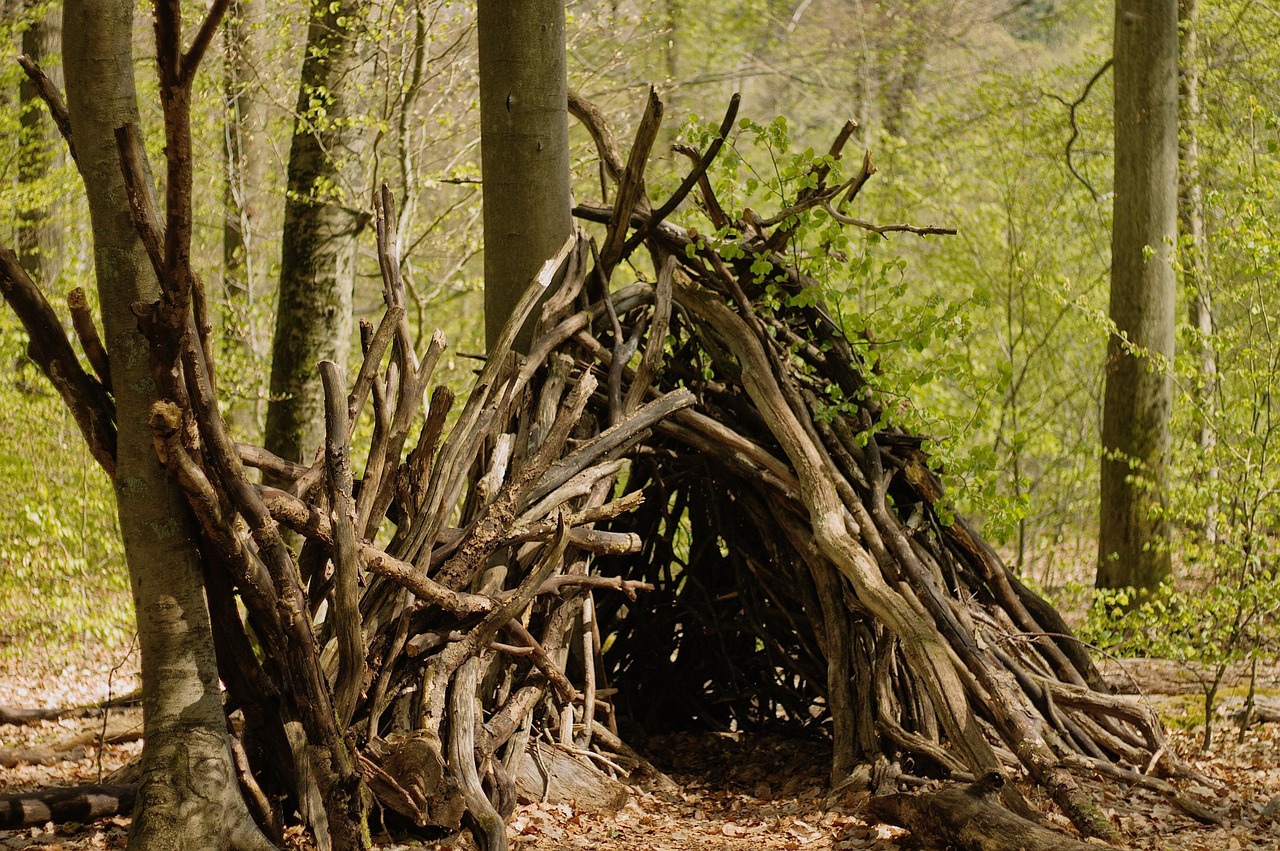 Cabane Forêt Bois - Photo gratuite sur Pixabay