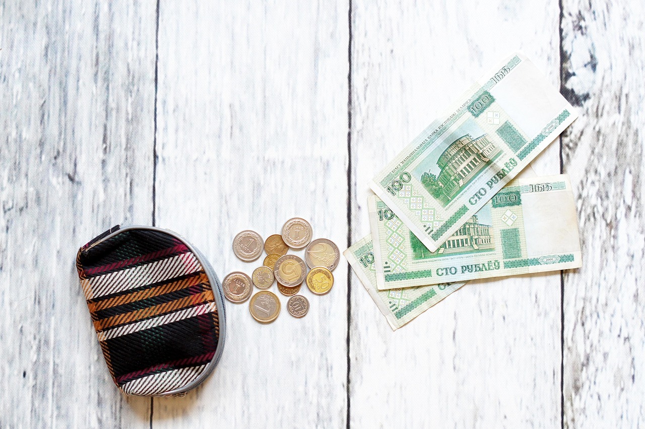 Billetera Dinero Facturas La - Foto gratis en Pixabay - Pixabay