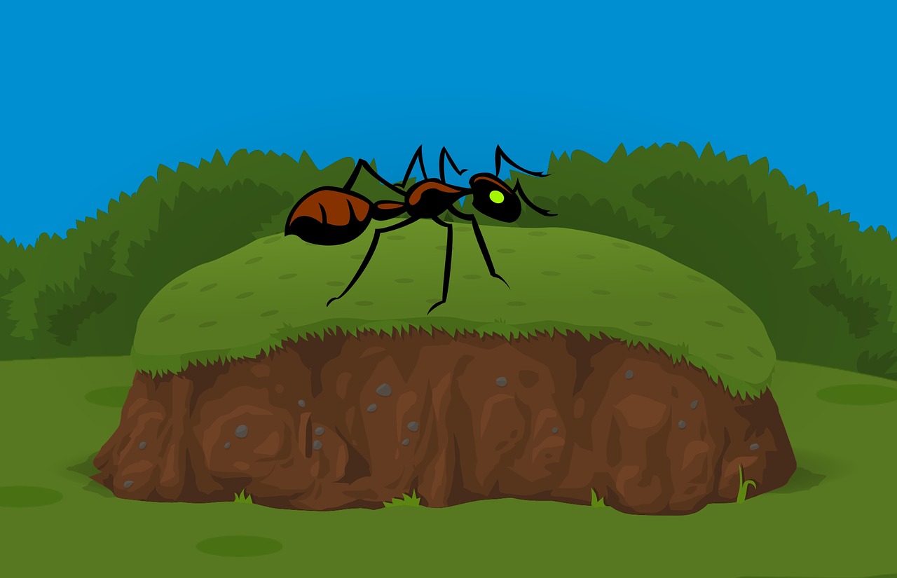 Download Ant, Insect, Grass. Royalty-Free Stock Illustration Image ...