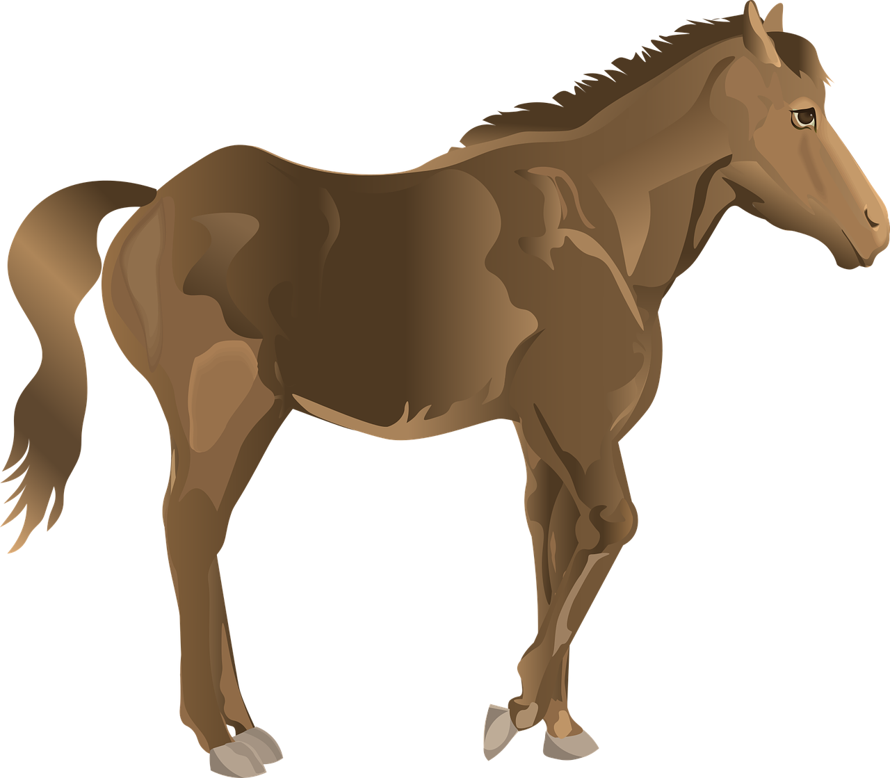  talon Cheval Baie Images Vectorielles Gratuites Sur Pixabay Pixabay