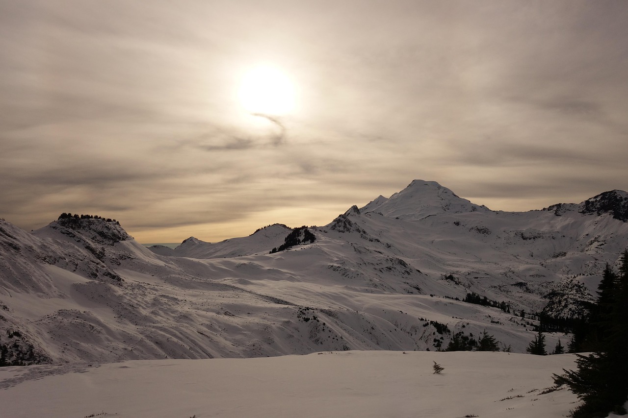 7,000+ Free Washington State & Nature Images - Pixabay