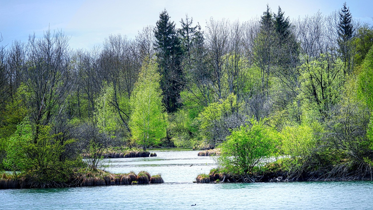 Lac Paysage Forêt Des - Photo gratuite sur Pixabay - Pixabay