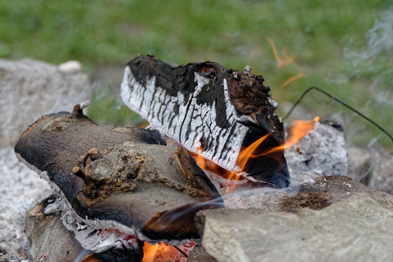 Campfire Fire Heat - Free photo on Pixabay - Pixabay