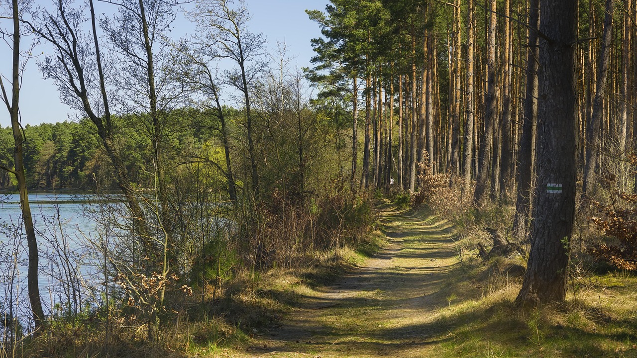 Le Printemps Forêt Lac - Photo gratuite sur Pixabay - Pixabay