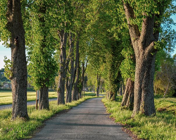 50+ Free French Countryside & France Images - Pixabay