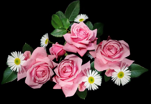 Rosas Margaridas Arranjo - Foto gratuita no Pixabay - Pixabay