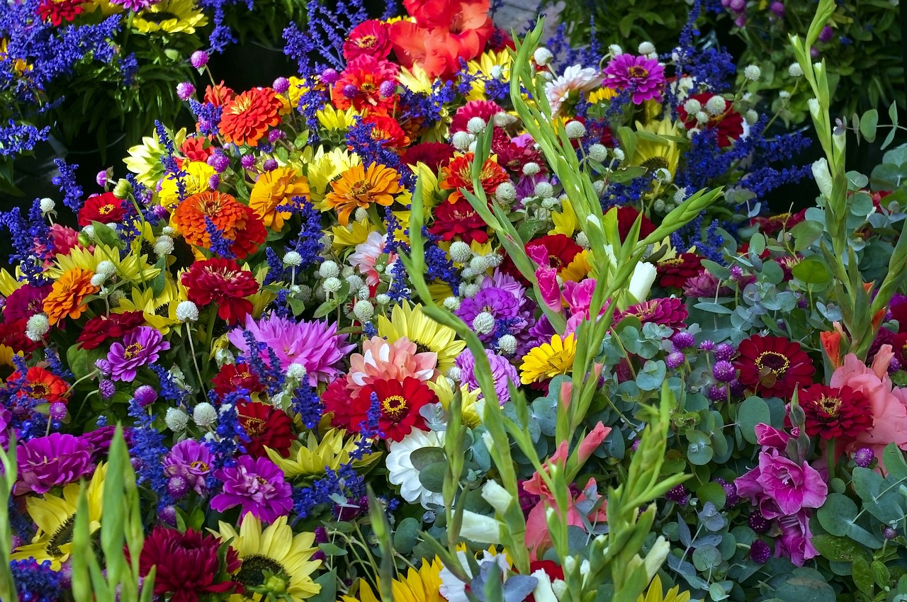 Madison Market Mixed Flowers - Free photo on Pixabay - Pixabay