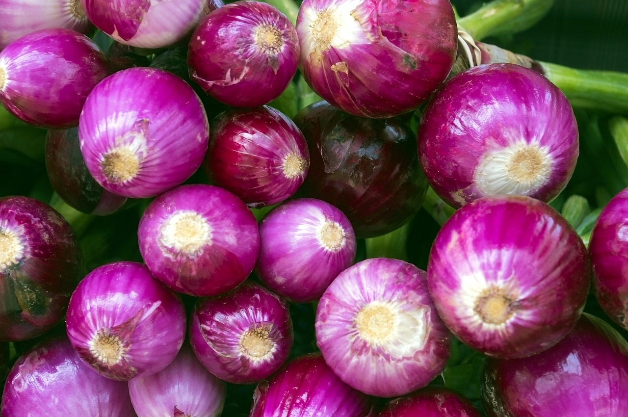 Farmers Market Purple Onions Food - Free photo on Pixabay - Pixabay