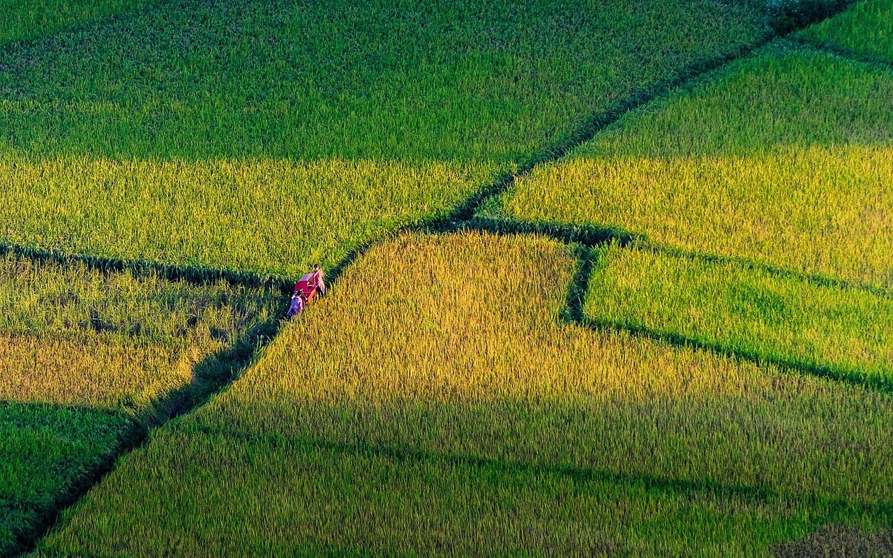 400+ Windswept Landscape & ảnh Landscape miễn phí - Pixabay