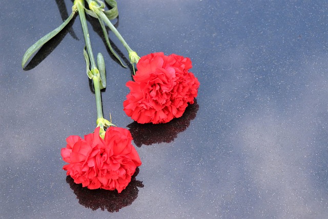 Two Red Carnations Black Marble - Free photo on Pixabay - Pixabay