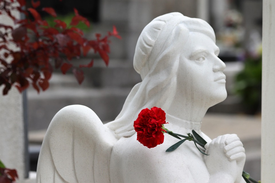 Angel Praying Red Carnation - Free photo on Pixabay