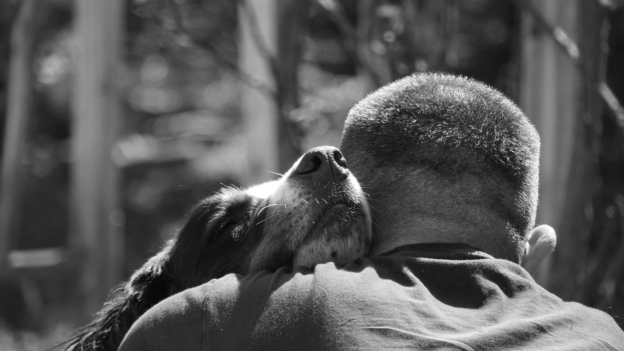 Dog Man Hug - Free photo on Pixabay