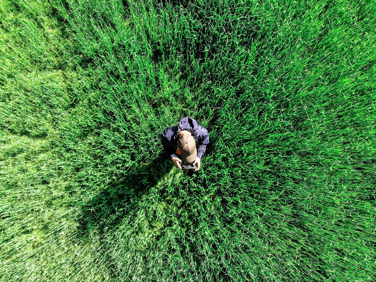 From The Top Drone Aerial View In - Free photo on Pixabay - Pixabay
