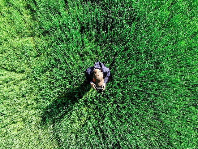 From The Top Drone Aerial View In - Free photo on Pixabay - Pixabay