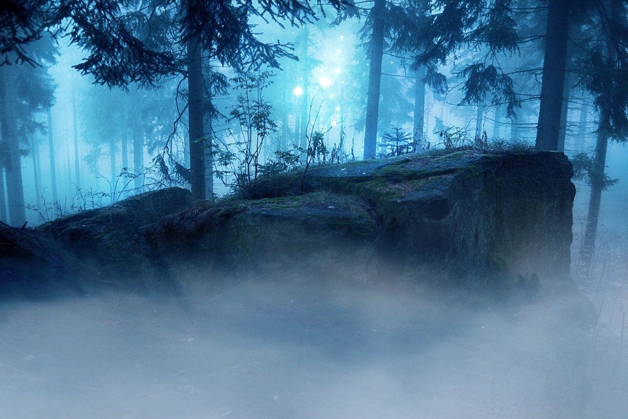 Fog Forest Night