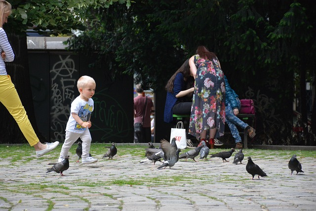 Kid Playing Pigeon - Free photo on Pixabay - Pixabay