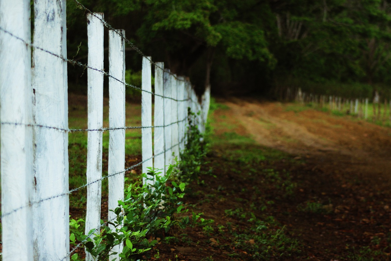 60+ Free Palisades & Fence Images - Pixabay