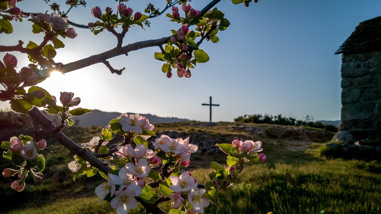 100+ Free Calvary & Cross Images - Pixabay