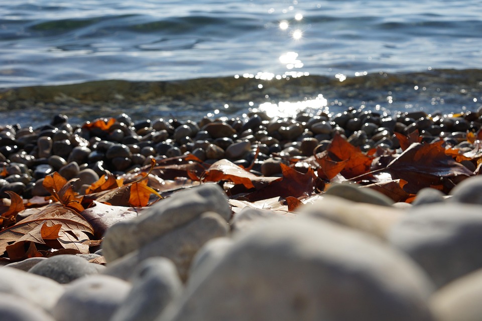 Lake Pebble Dead Leaves - Free photo on Pixabay