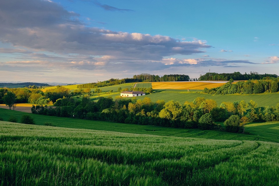 La Nature Paysage Le Printemps Des - Photo gratuite sur Pixabay - Pixabay