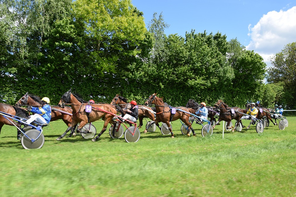Horse Equestrian Race - Free photo on Pixabay
