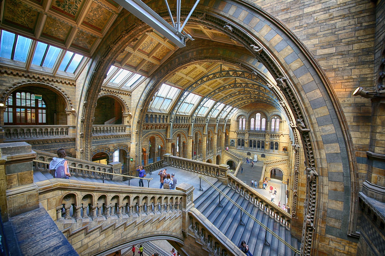 Museum London Dinosaur - Free photo on Pixabay - Pixabay