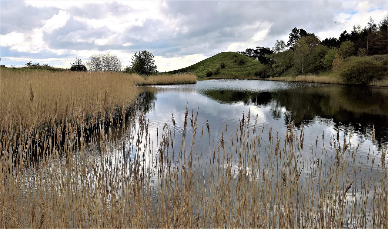 Landscape Lake Denmark - Free photo on Pixabay