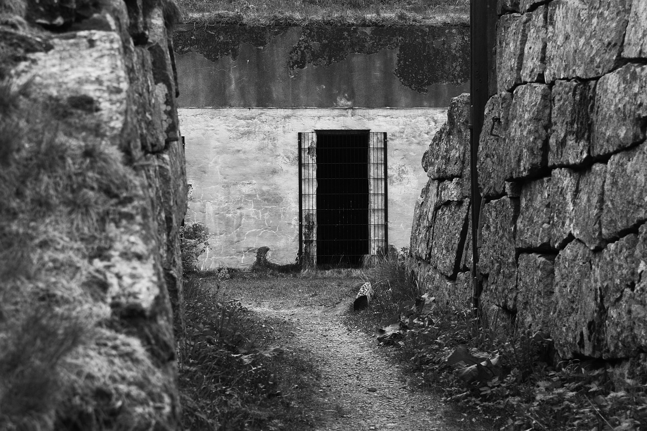 100+ Free Trench & Ww1 Images - Pixabay