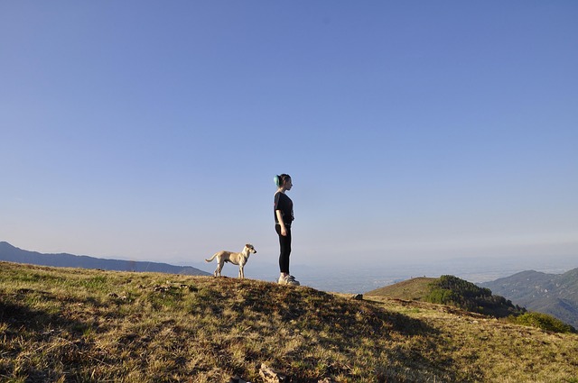 Girl Profile Mountain - Free photo on Pixabay - Pixabay