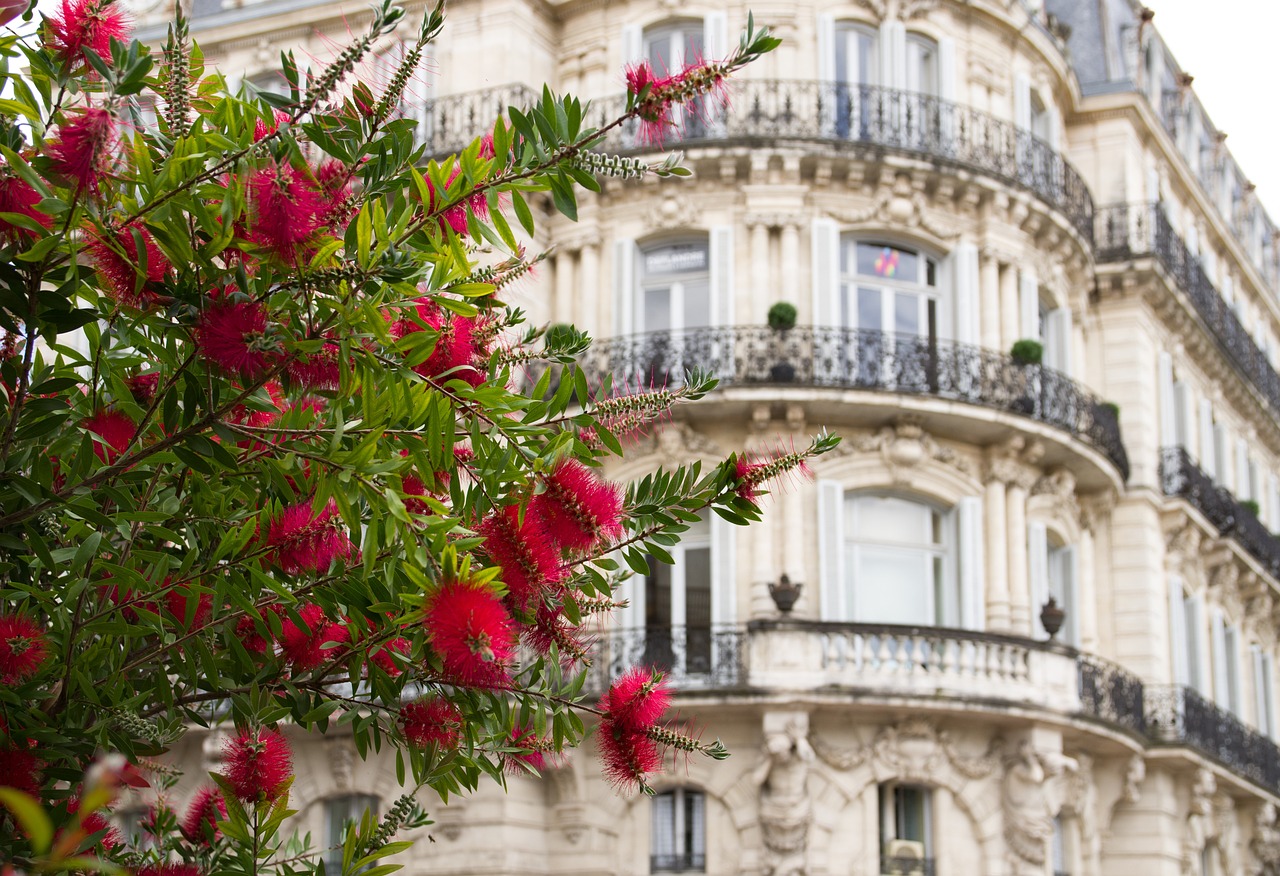 1,000+ Free Château Montpellier & Chateau Images - Pixabay