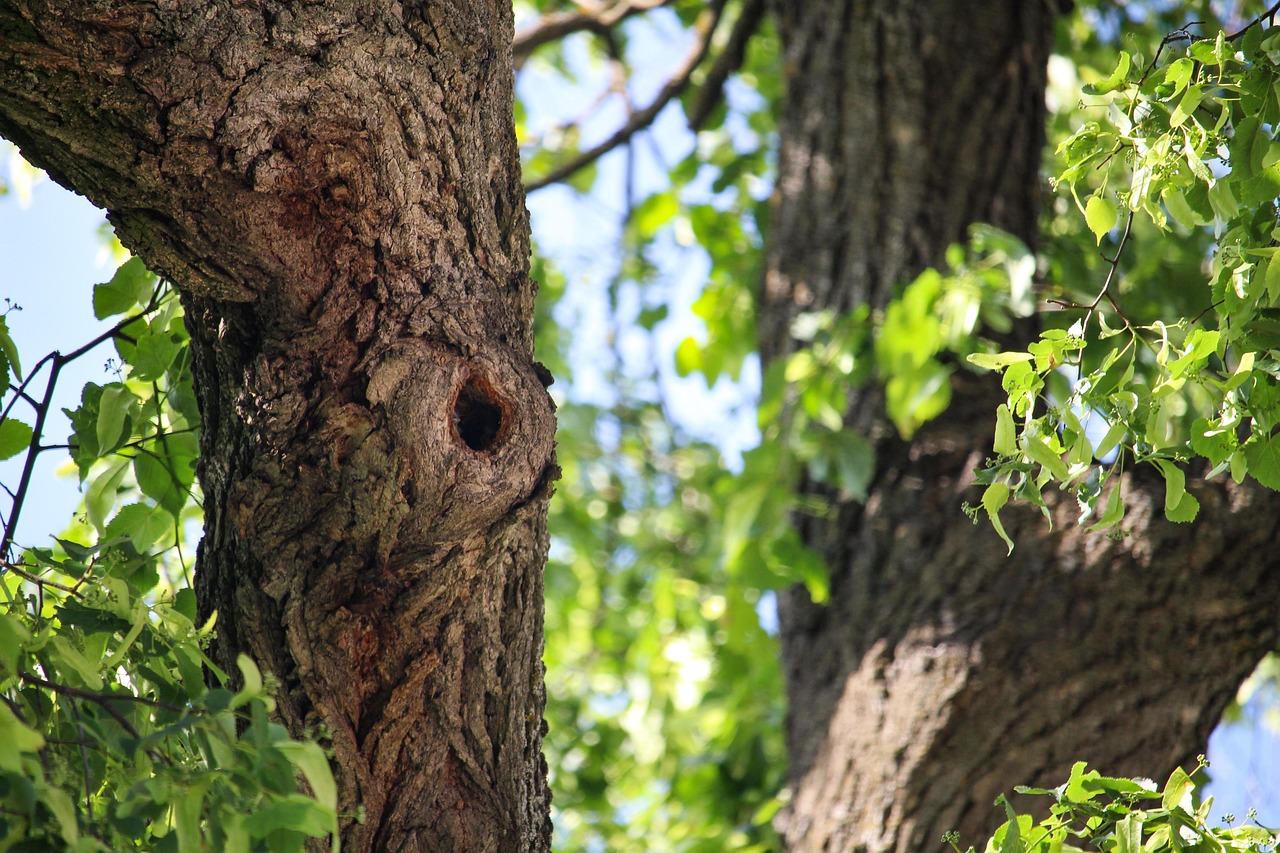 20,000+ Free Image Representative Qualite De Lair & Background Image ...