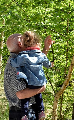 300+ Free Grandpa & Grandfather Images - Pixabay