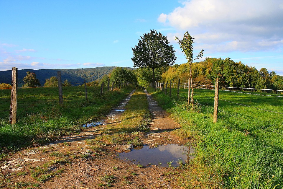 Nature Landscape Path - Free photo on Pixabay - Pixabay Nature Landscape Path - Free photo on Pixabay - Pixabay
