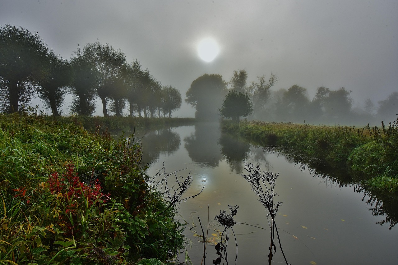 Wasser Nebel Landschaft - Kostenloses Foto auf Pixabay - Pixabay