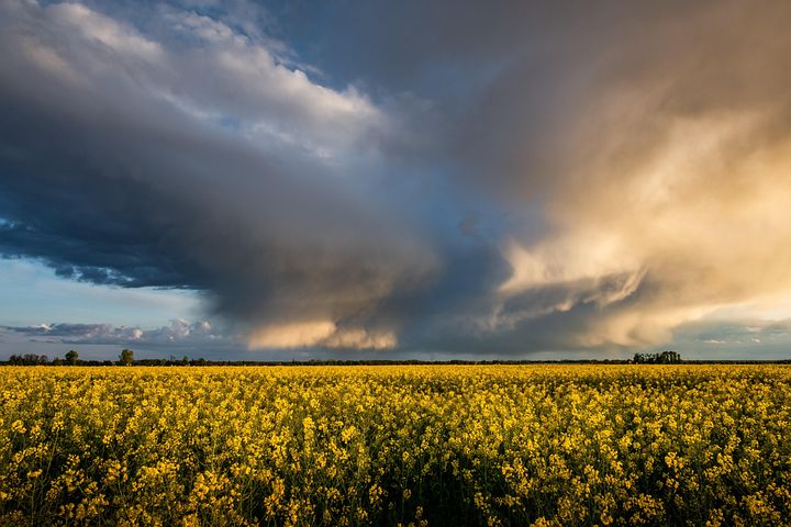 Plus de 4 000 images de Orage et de Tempête - Pixabay