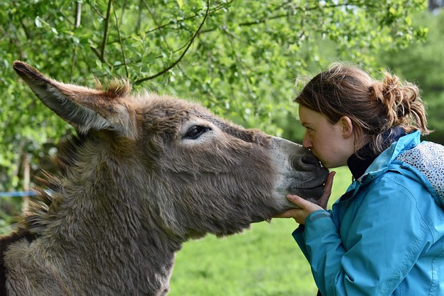 Woman Donkey Kisses Young Girl - Free photo on Pixabay