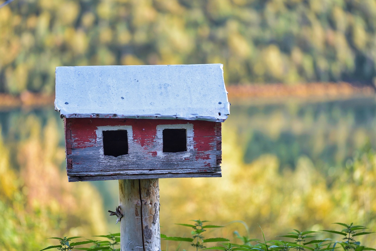 200,000+ Free House Bird Feeder & Bird Feeder Images - Pixabay