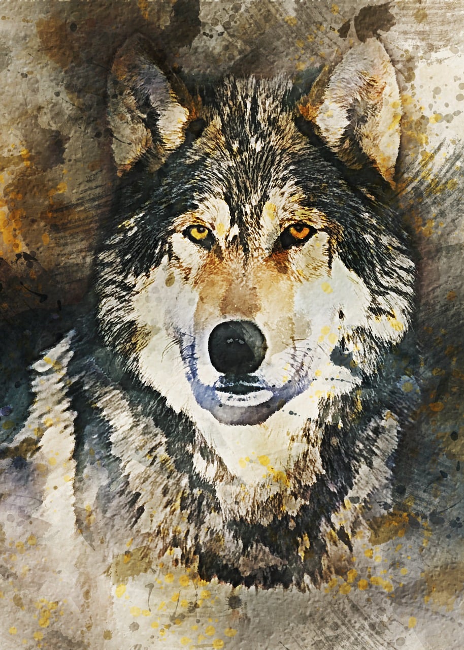 10,000개 이상 무료 Grey Wolf 및 늑대 일러스트레이션 - Pixabay