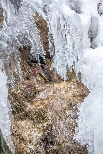 Winter Snow Frozen - Free photo on Pixabay - Pixabay