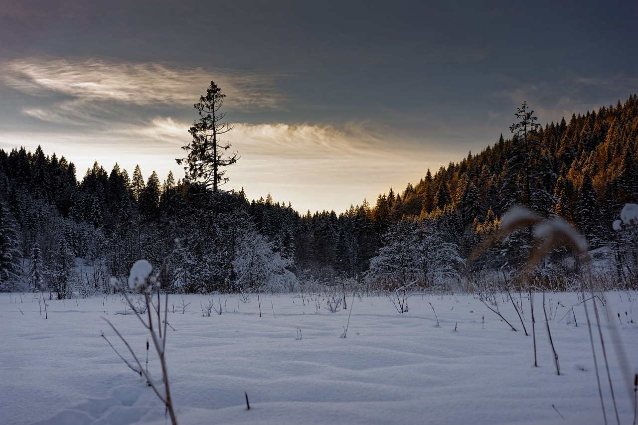 Barmsee Bavaria Snow - Free photo on Pixabay - Pixabay
