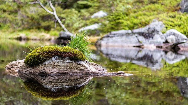 Stone Water Reflection - Free photo on Pixabay - Pixabay