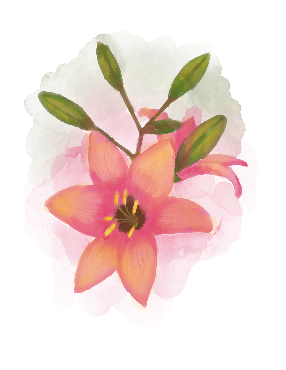 400,000+ Free Watercolor Flowers & Watercolor Images - Pixabay