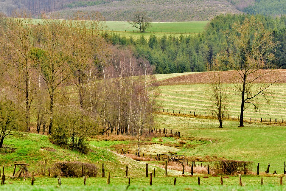 Landscape Pasture Nature - Free photo on Pixabay