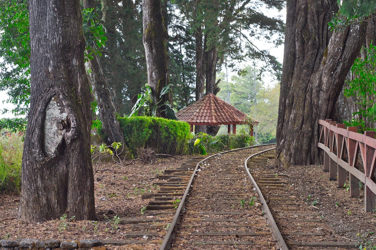 Más de 200 imágenes gratis de Rail-Squeal y Tren - Pixabay