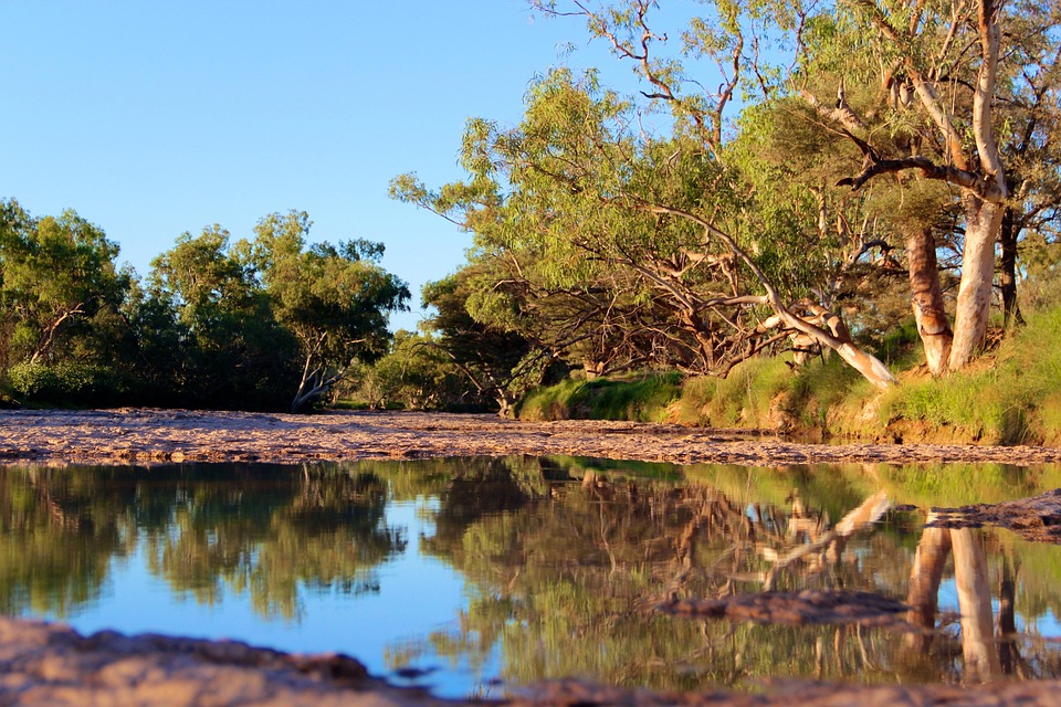 Reflection Bush Australia National - Free photo on Pixabay